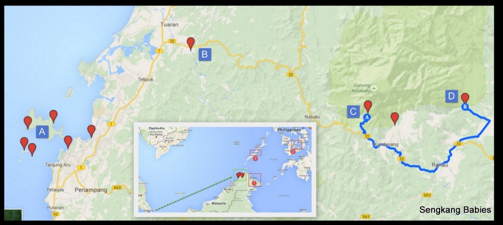 Sabah family itinerary - Sengkang Babies