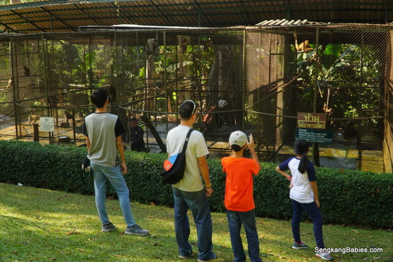 Khao Kho family itinerary - Sengkang Babies