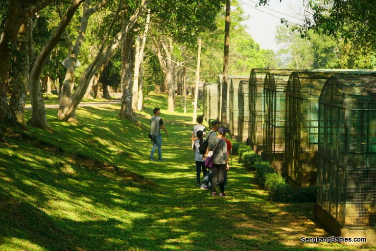 Khao Kho family itinerary - Sengkang Babies