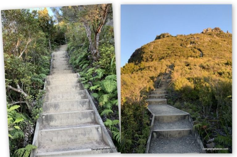 price of Pinnacles hut coromandel Archives - Sengkang Babies