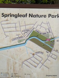 Springleaf Nature park map Archives - Sengkang Babies