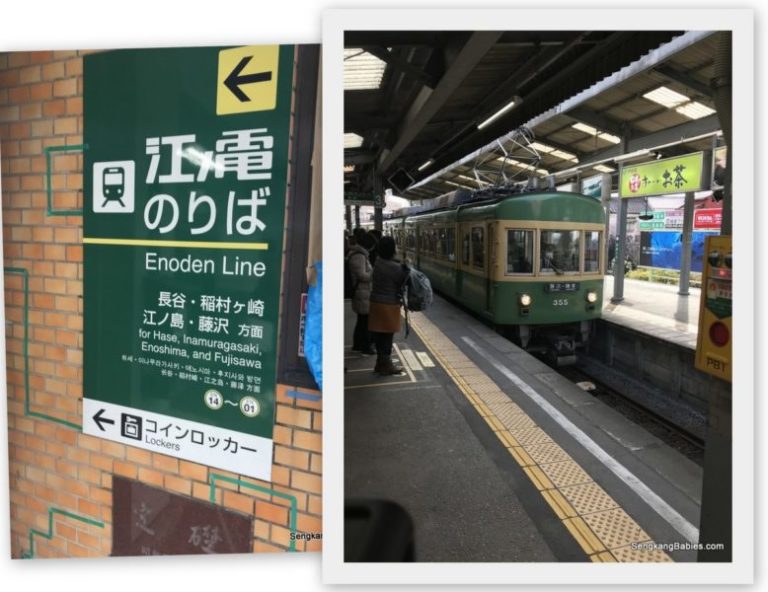 Kamakura day trip and attractions - Sengkang Babies