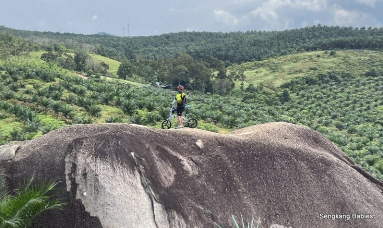 Cycling to Elephant Rock (Bukit Batu Gajah) - Sengkang Babies