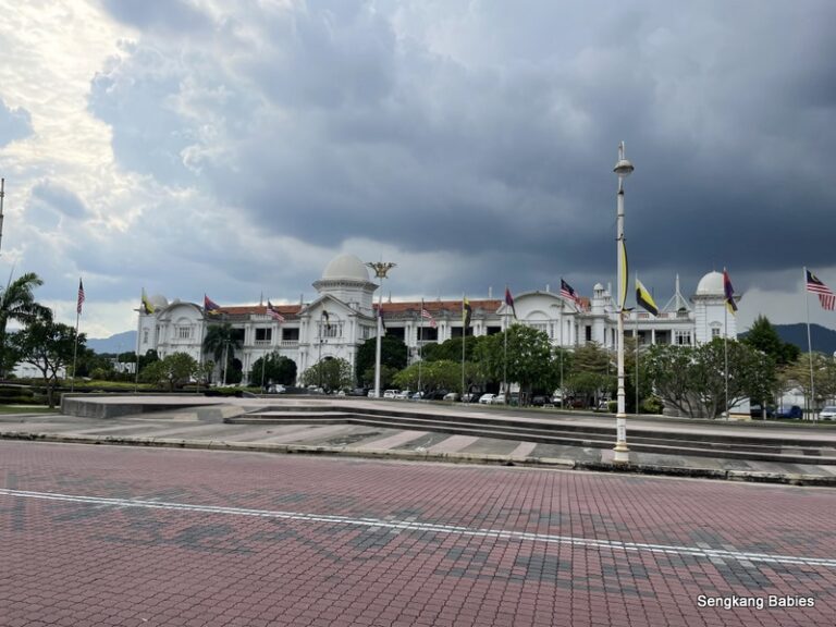 11D10N Malaysia Road Trip - Sengkang Babies